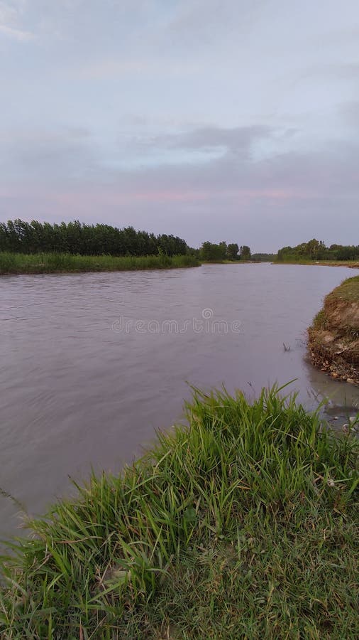 Beautiful River bank stock photo. Image of waterway - 229568076