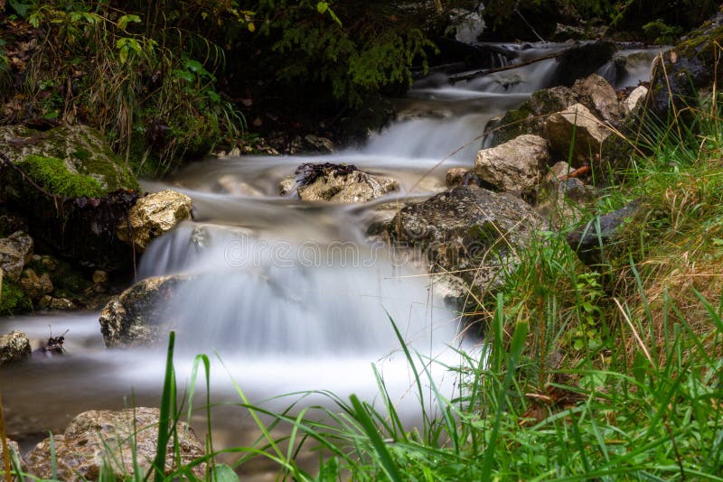 Beautiful River Cascade in a Forest Stock Image - Image of forest ...