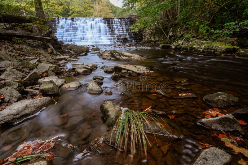 Beautiful River Cascade in a Forest Stock Image - Image of nature ...