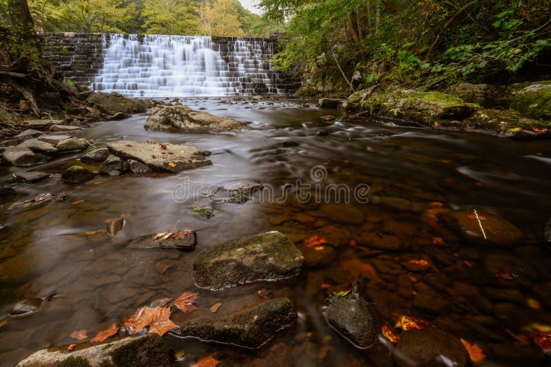 Beautiful River Cascade in a Forest Stock Image - Image of flowing ...