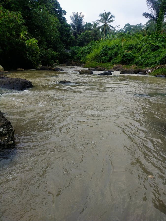 Beautiful River Flow in the Middle of the Forest Stock Photo - Image of middle, flow: 332194730