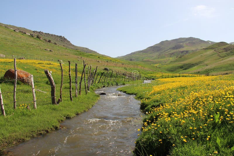 A Beautiful River Flowing in the Plain Stock Photo - Image of iran ...