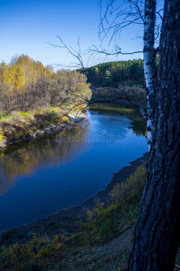 Beautiful River among the Forest and Ravines. among the Birches and ...