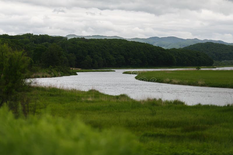 Beautiful River among Green Fields. Stock Photo - Image of plant, view ...