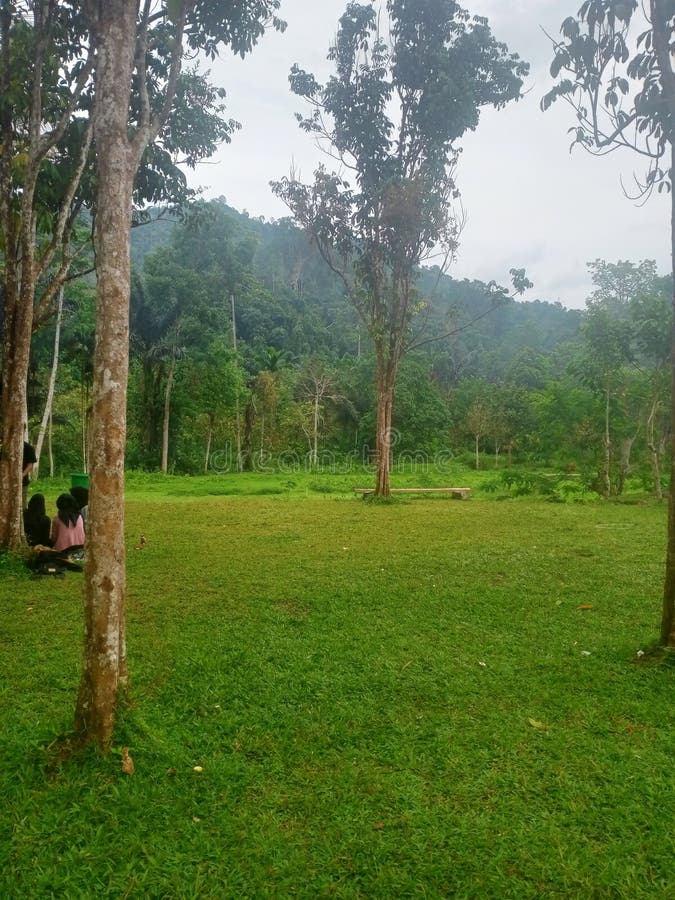 Beautiful river lands stock photo. Image of lawn, woodland - 270447338