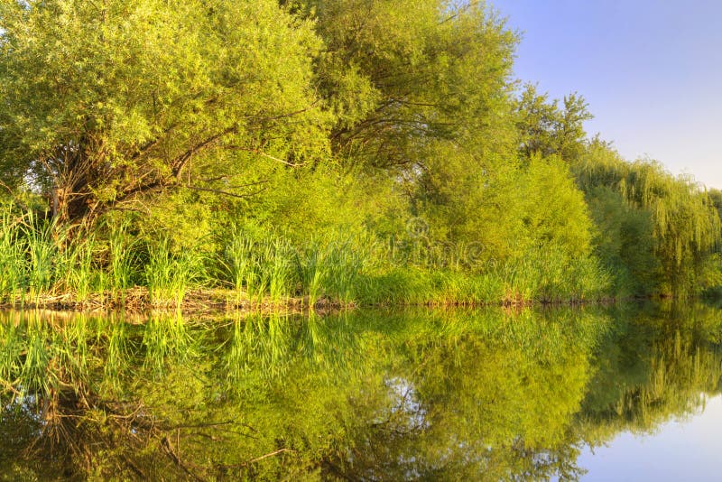Beautiful river landscape stock image. Image of creek - 44245633