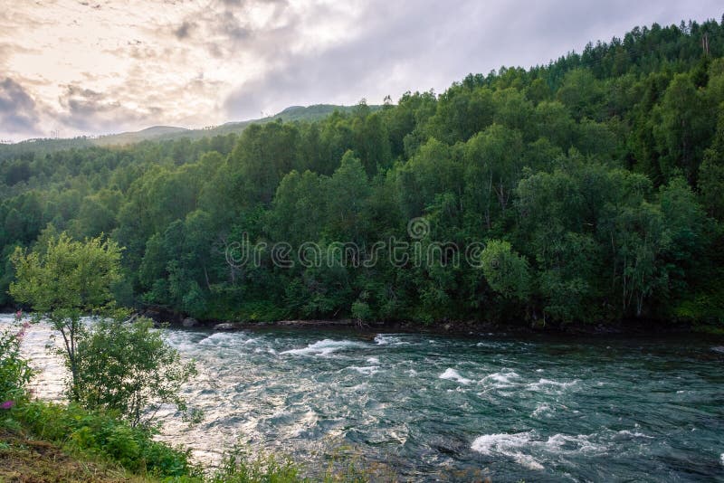 Beautiful River in Lapland Under the Midnight Sun, Norway Stock Photo ...