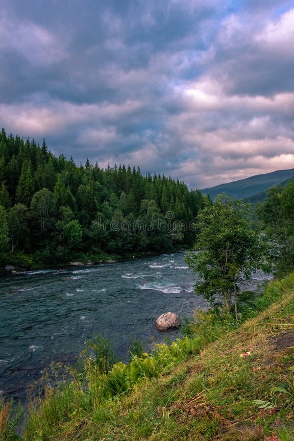 Beautiful River in Lapland Under the Midnight Sun, Norway Stock Image ...