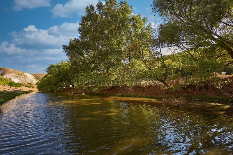 Beautiful River, a Lot of Greenery and Trees Stock Image - Image of ...