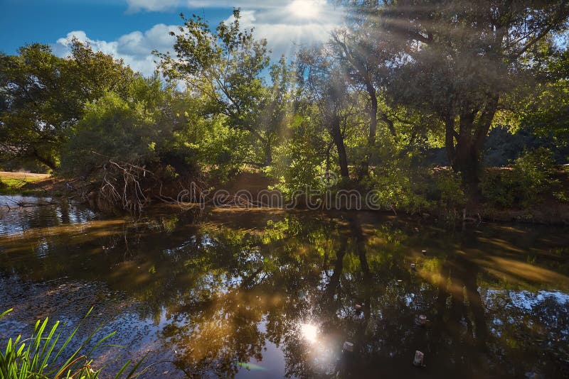Beautiful River, a Lot of Greenery and Trees Stock Image - Image of ...