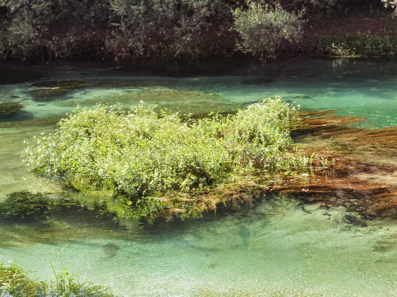 Beautiful river - nature stock image. Image of reflection - 258104725
