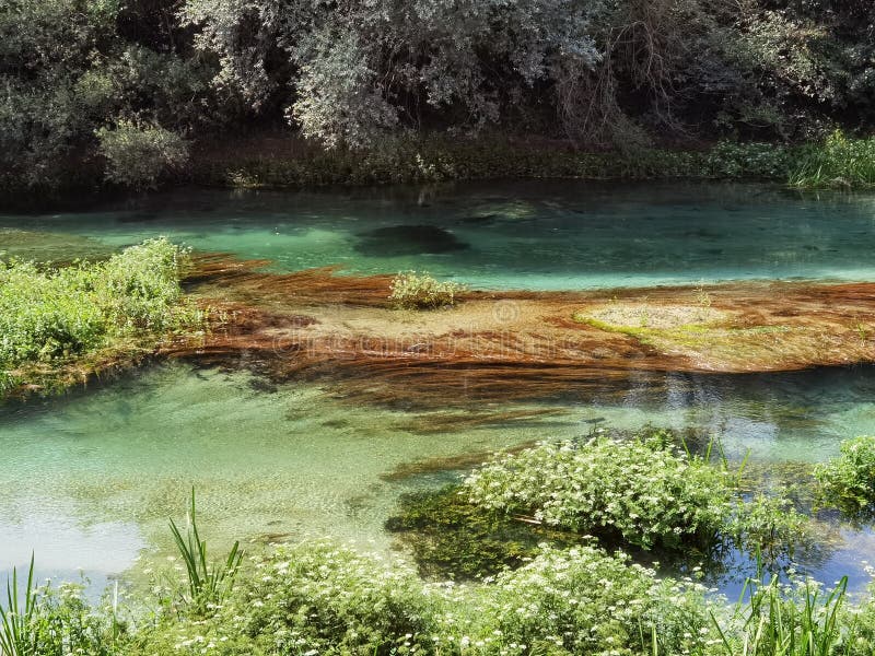 Beautiful river - nature stock image. Image of grass - 258104739