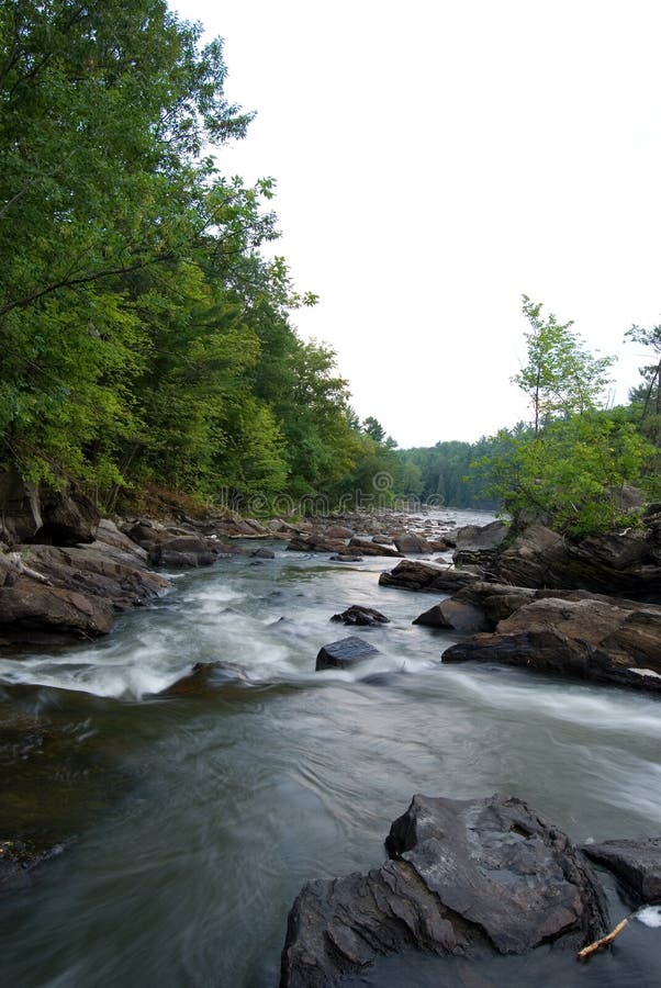 Beautiful River with Rapids in the Forest Stock Photo - Image of ...