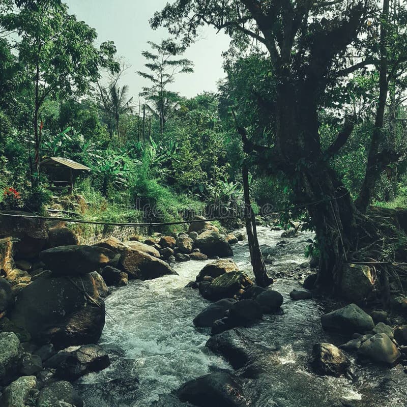 Beautiful River with Rock in the Village at the Foot of the Mountain ...