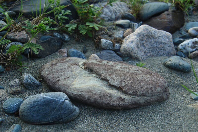 Beautiful River Rounded Stones of Different Sizes and Colors on the ...