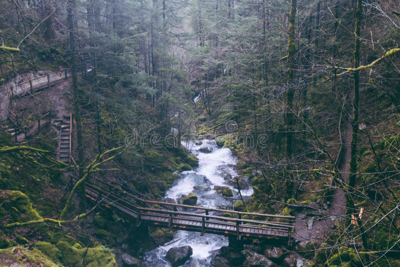 Beautiful River Running through a Forest with a Suspension Bridge Built ...