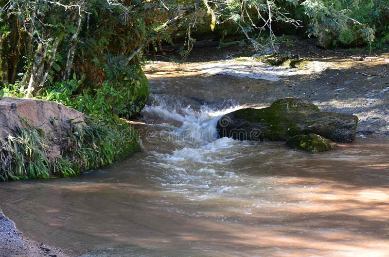 A Beautiful River Running between the Trees Stock Photo - Image of ...