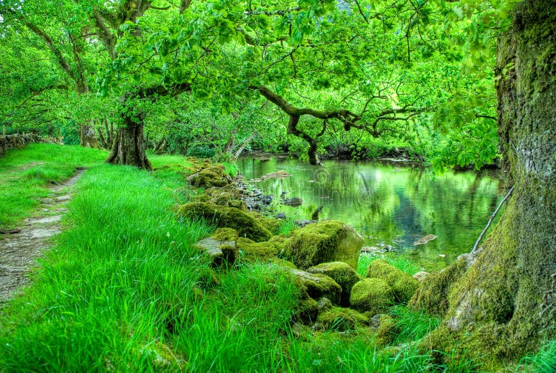 Beautiful River Scene stock photo. Image of environment - 6295182