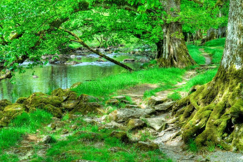 Beautiful River Scene stock photo. Image of beautiful - 6865088