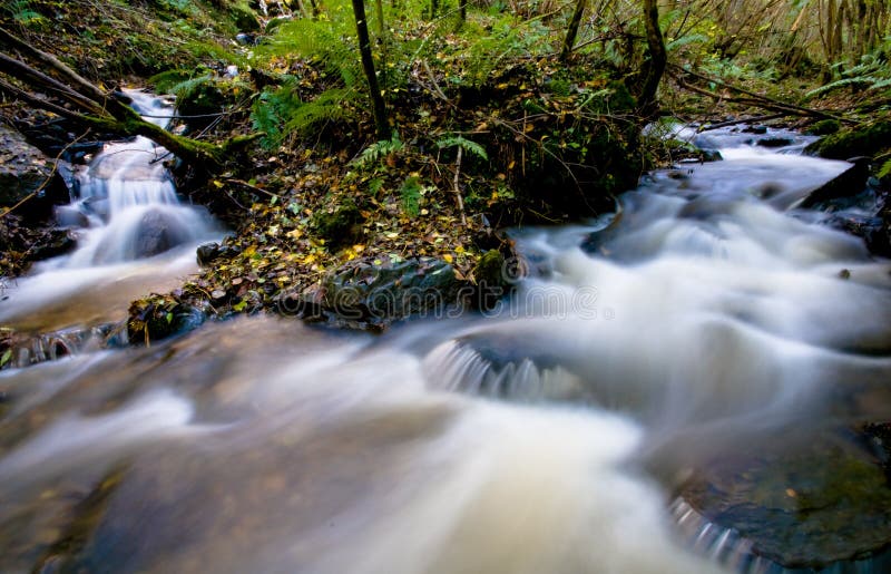 Beautiful River Scene Picture. Image: 6865035