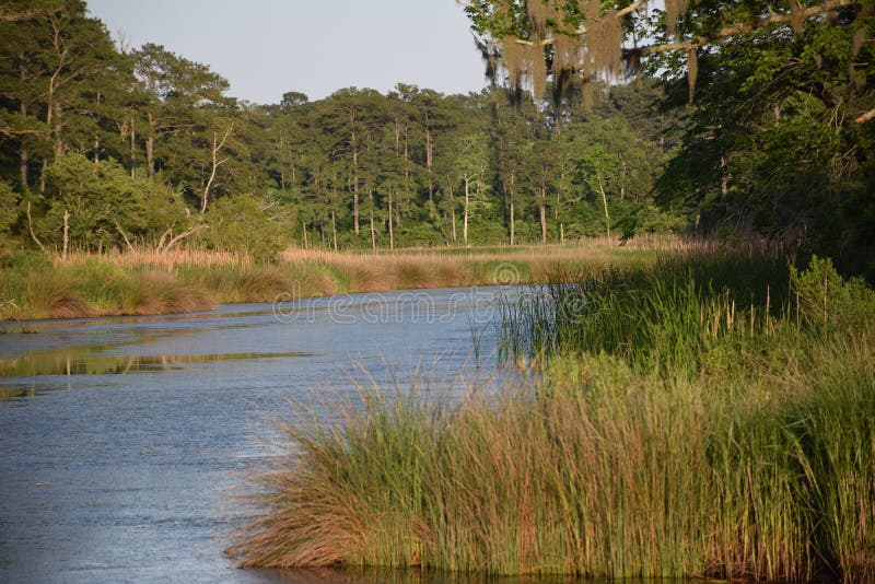 Beautiful river scene stock photo. Image of trees, grass - 55778022