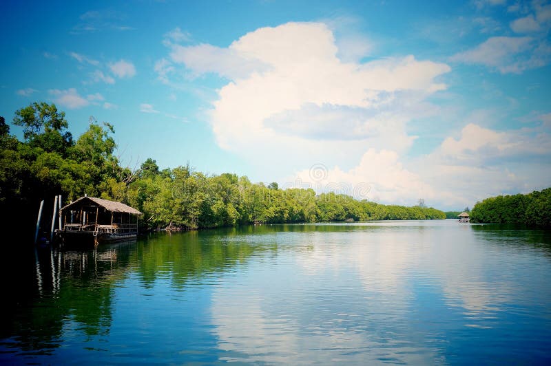 Beautiful river scenery stock photo. Image of wooden - 48400010