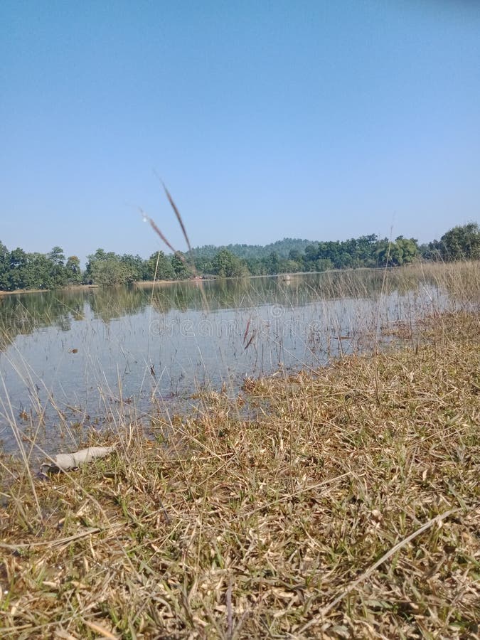 Beautiful River Side with Blue Sky on Background Stock Image - Image of ...