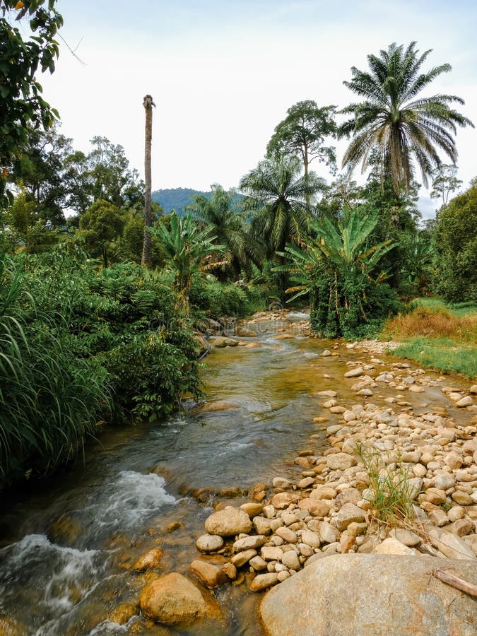 Beautiful River Stream at Raub, Pahang, Malaysia. Stock Photo - Image ...