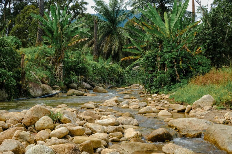 Beautiful River Stream at Raub, Pahang, Malaysia. Stock Image - Image ...
