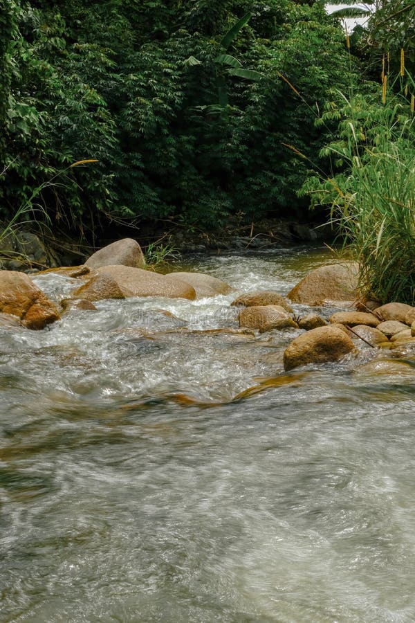 Beautiful River Stream at Raub, Pahang, Malaysia. Stock Photo - Image ...