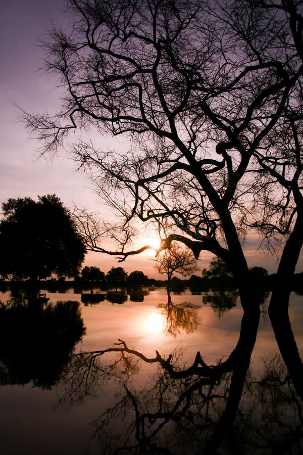 Beautiful River Sunset stock photo. Image of colors, reflection - 37560884