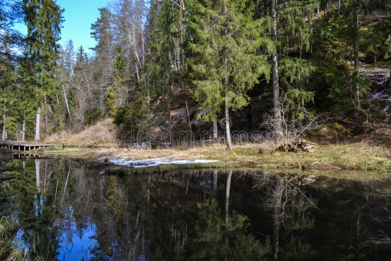 Beautiful River Surrounded by Forest with Perfectly Clean Water with a ...