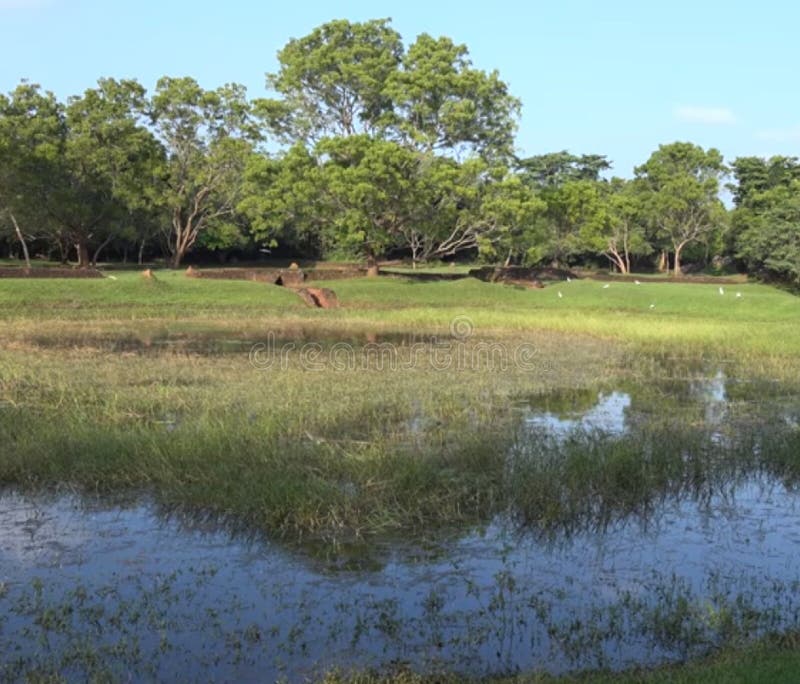 Beautiful Riverside View with Clouds and Trees Stock Image - Image of ...