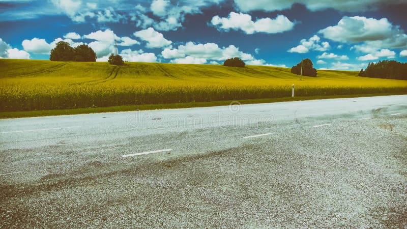 Beautiful Road Acroos Yellow Meadows in Spring Stock Photo - Image of ...