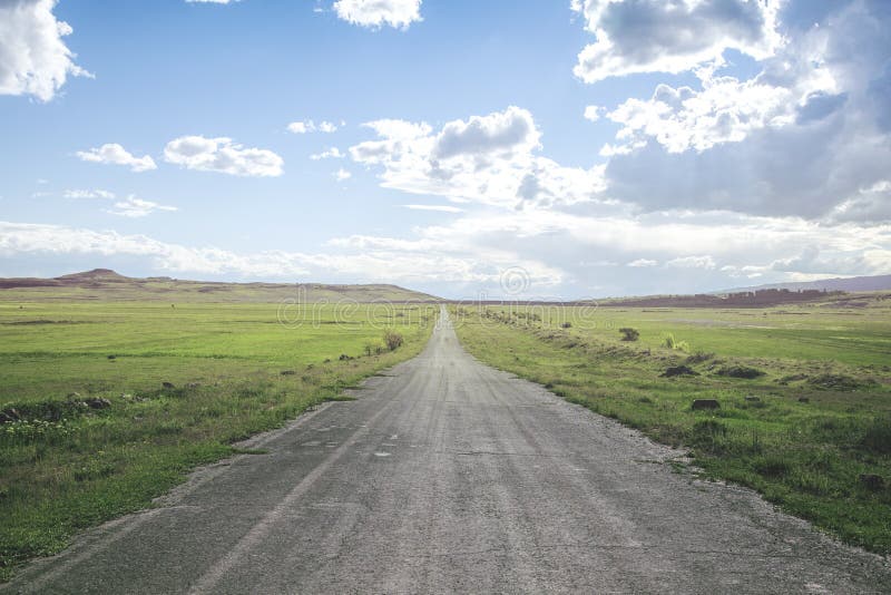 Green grass stock image. Image of scene, lush, green - 57589311
