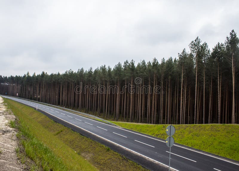 Beautiful Road in a Beautiful Forest. Background. Stock Photo - Image ...