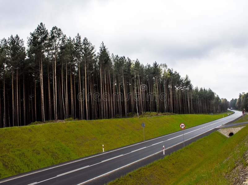 Beautiful Road in a Beautiful Forest. Background. Stock Image - Image ...