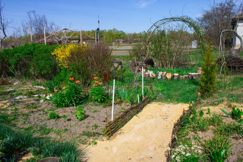 Beautiful Road in the Garden. Background. Stock Image - Image of fruits ...