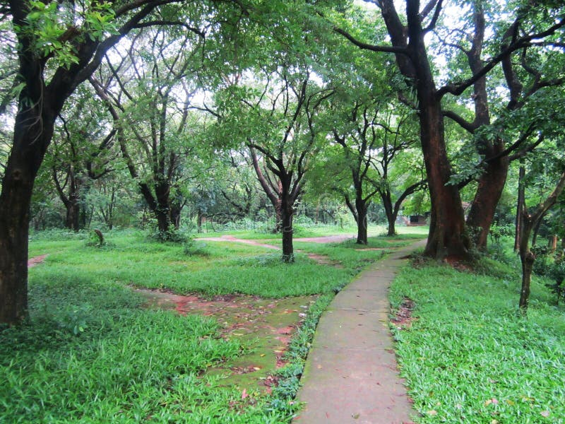 Beautiful Road in the Garden with Trees Stock Photo - Image of outdoor ...
