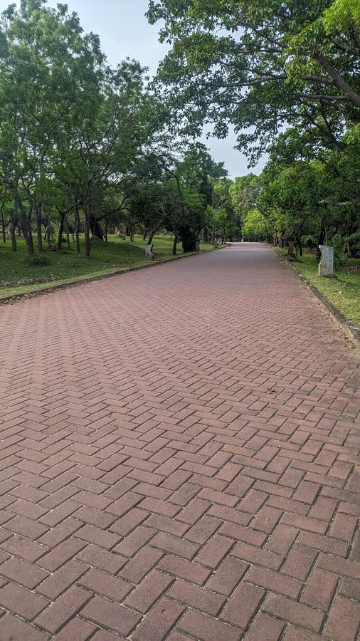 A Beautiful Road in Sri Lanka Stock Image - Image of road, nature ...