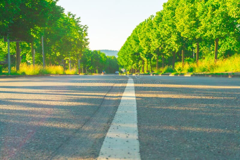 Beautiful road with trees stock photo. Image of drive - 95008658