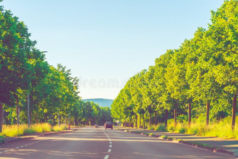 Beautiful road with trees stock photo. Image of drive - 95008750