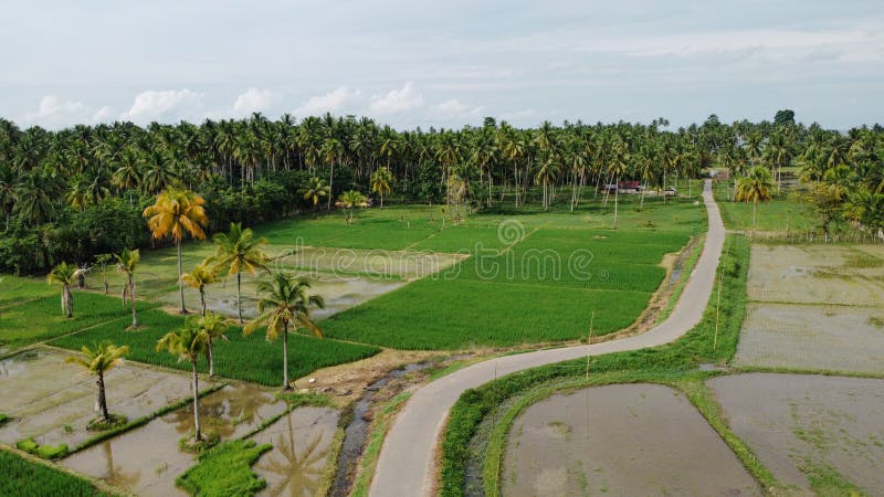 Beautiful Roads in the Village Stock Photo - Image of hill, field ...