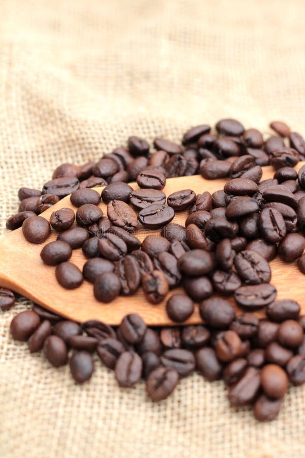 Beautiful of Roasted Coffee Beans. Stock Image - Image of espresso ...