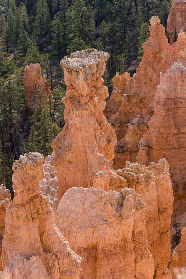 Beautiful Rock Formation in Bryce Canyon. Stock Image - Image of ...
