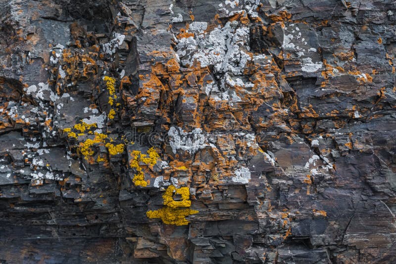 Beautiful Rock Texture with Cracks and Visible Layers of Rocks. Natural ...