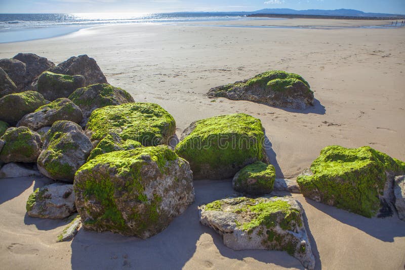 Beautiful Rocks on the Ocean Shore Stock Photo - Image of horizon ...