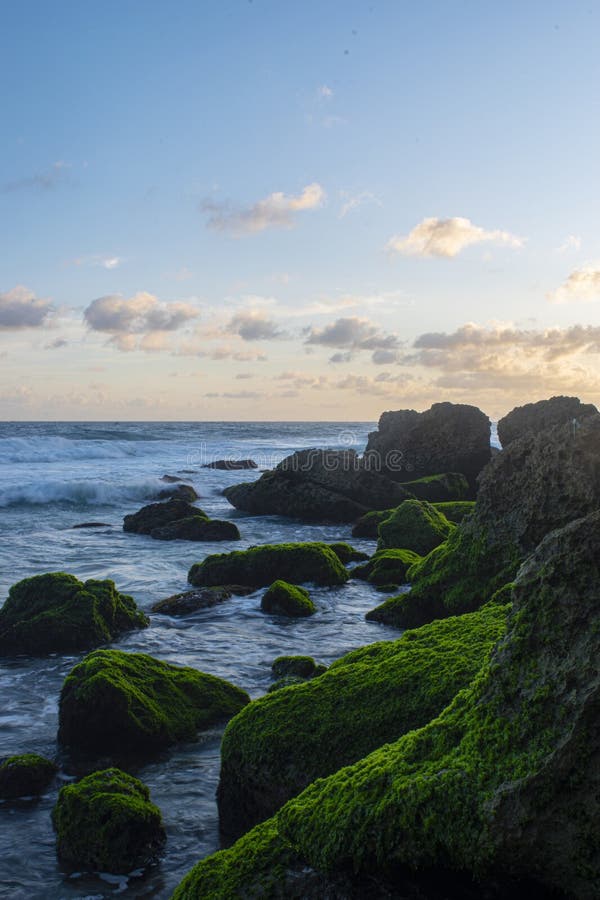 Beautiful Rocky Beach with Green Moss Growing on the Stones Stock Photo ...