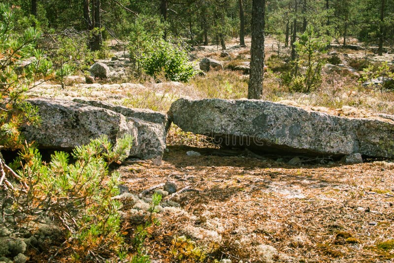 A Beautiful Rocky Forest Landscape in Finland Stock Photo - Image of ...
