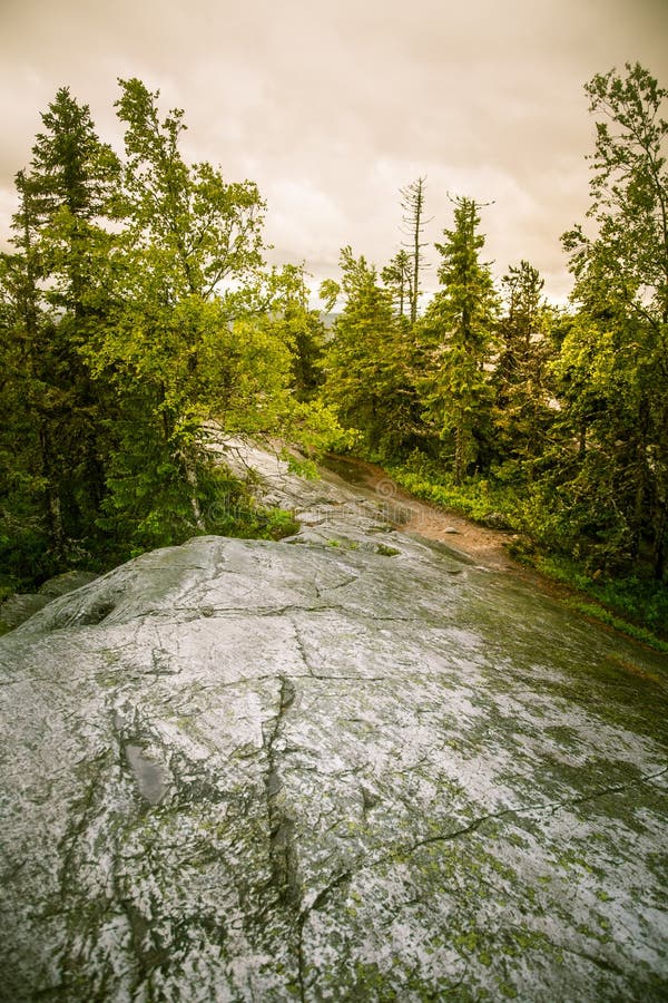 A Beautiful Rocky Forest Landscape in Finland Stock Image - Image of ...